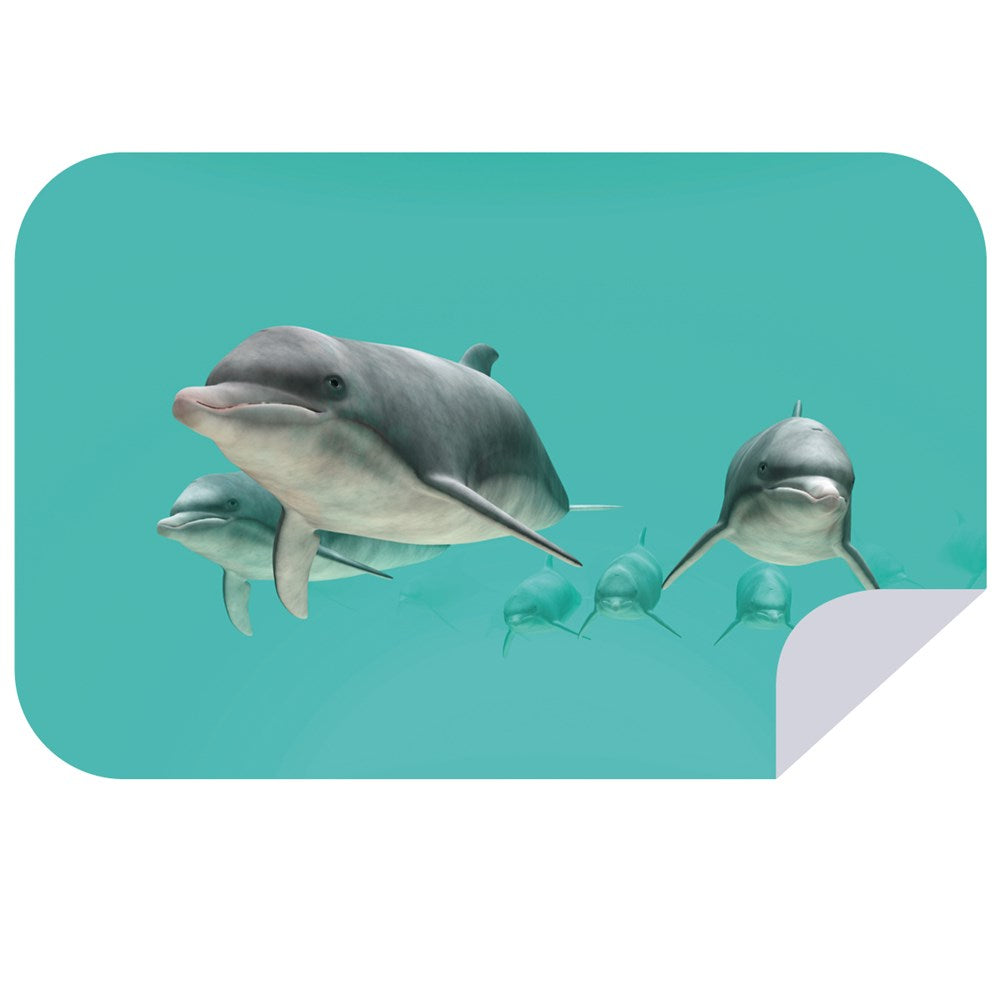 Microfibre XL Printed Towel - 5 Dolphins Swimming – bobums